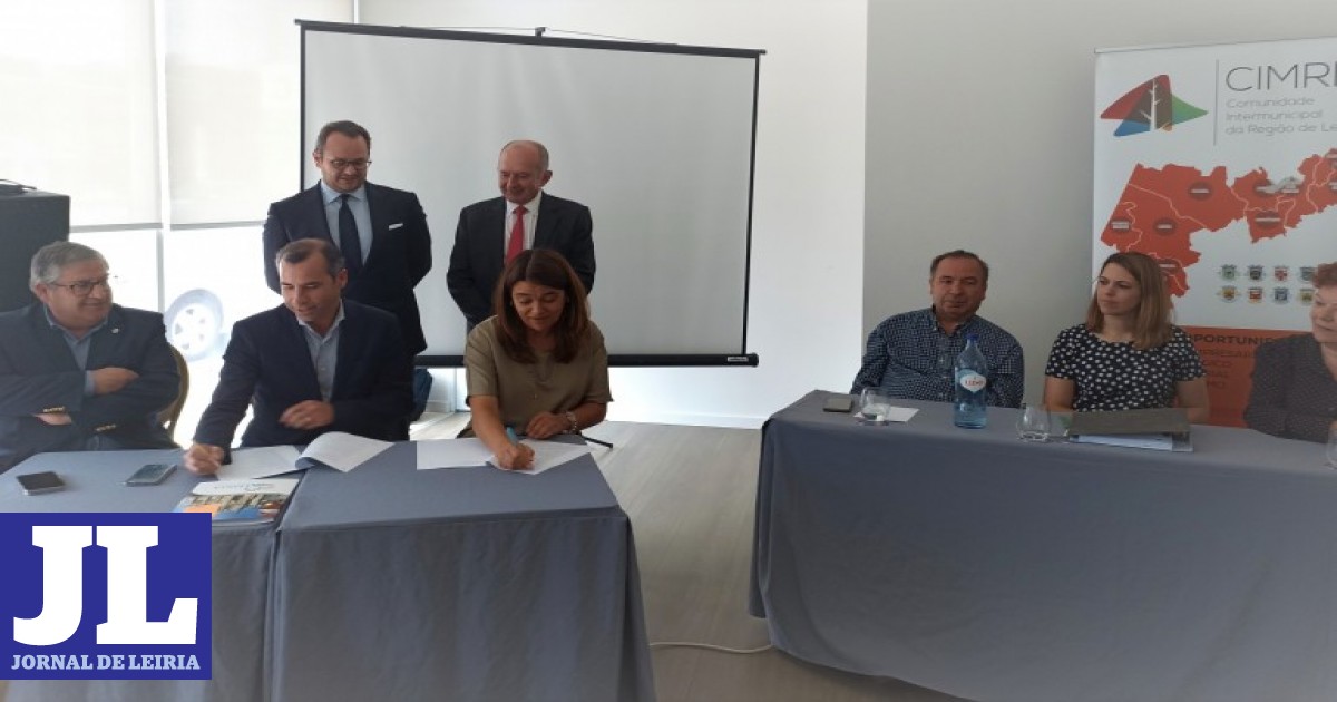 Jornal de Leiria - Novo contrato de transportes públicos na região com ...