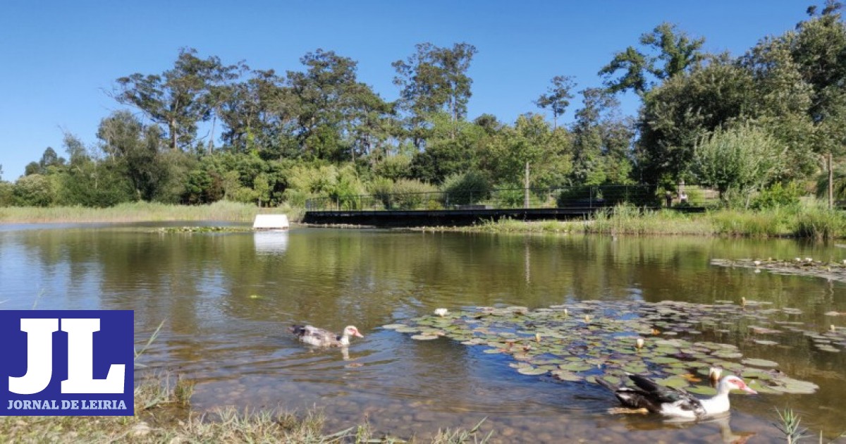 Jornal de Leiria - Monte Real e Carvide cria novas rotas para promover ...