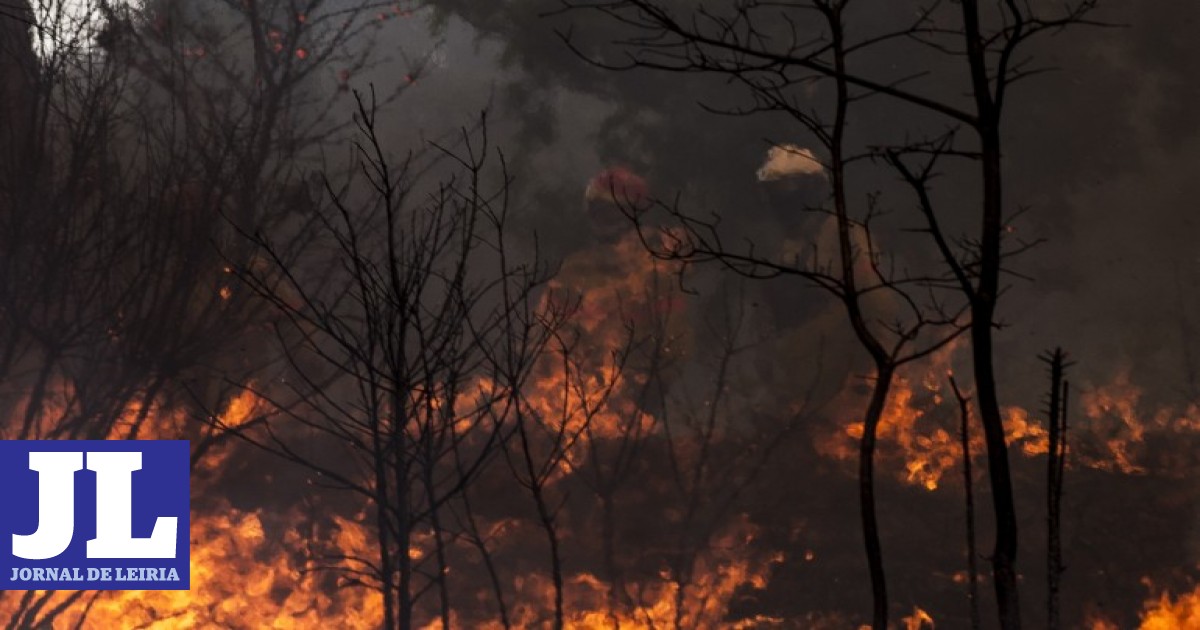 Jornal de Leiria - Incêndios: Câmara de Pedrógão Grande exige mais ...